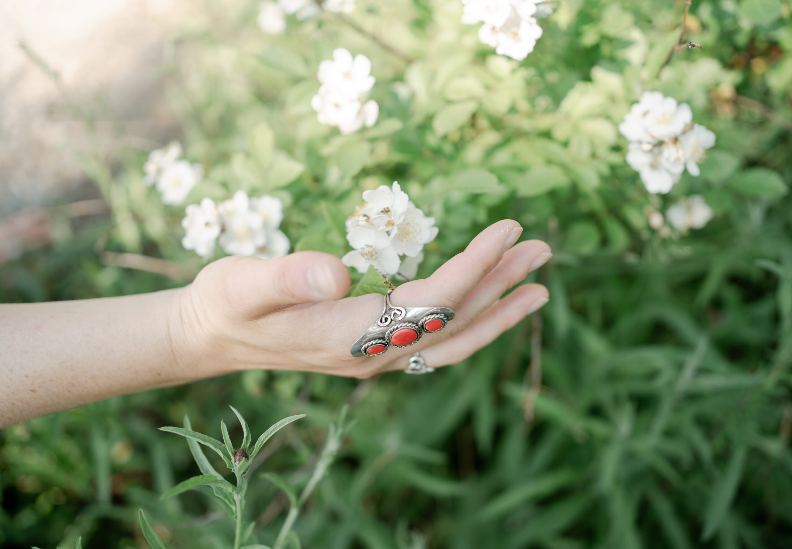 The Age of Embodied Living - The Natural Intuitive